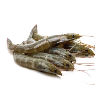 Mixed Size Scampi Tail - HiFresh